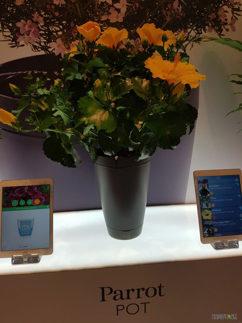 #IFA2016 : Parrot nous dévoile le Pot connecté, version finale - Maison ...
