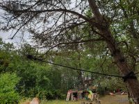 Installation d'une tyrolienne iZipline dans le jardin ! - Maison et Domotique
