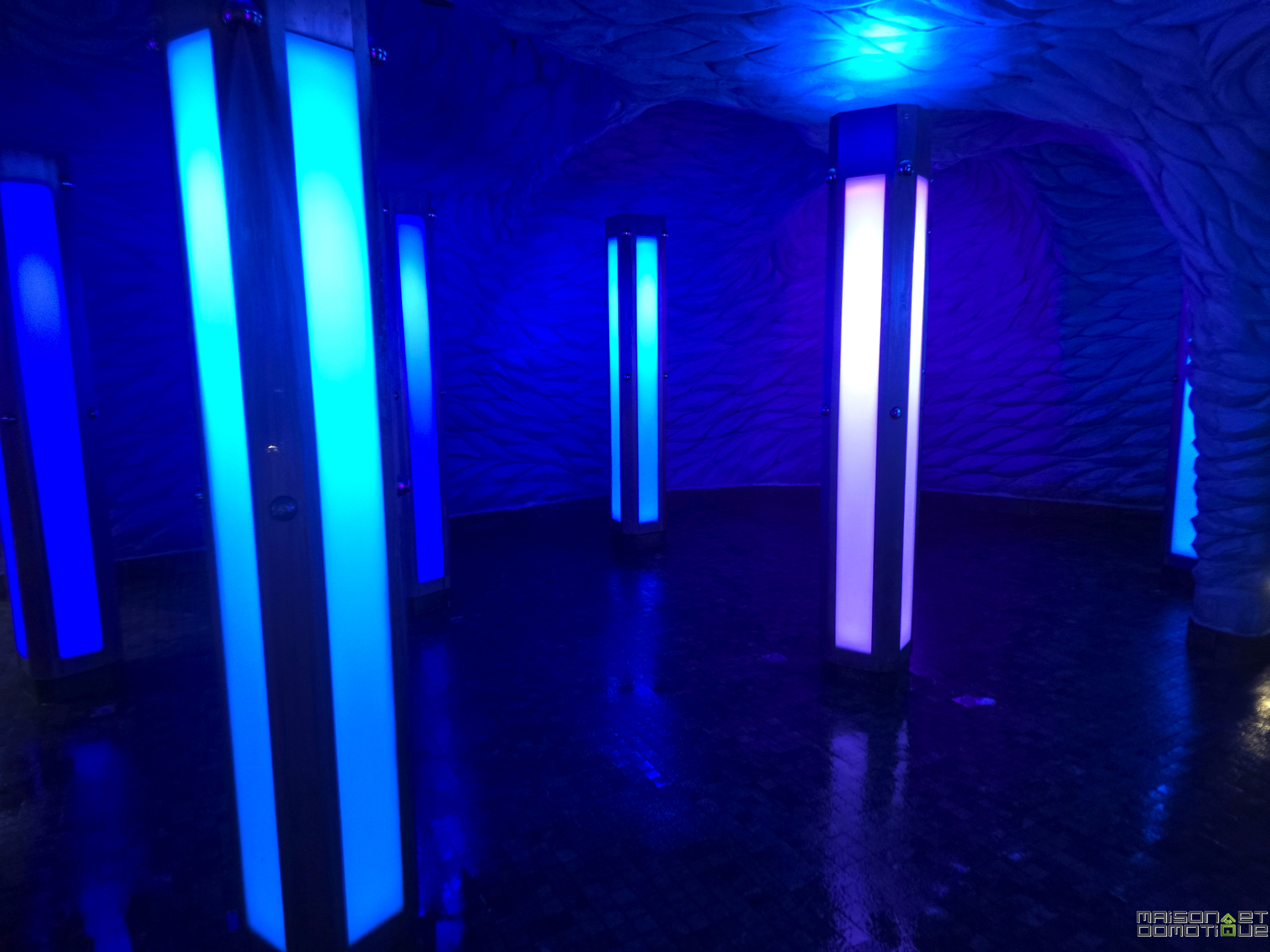 We tested Aquascope, the aquatic odyssey at Futuroscope: a life-size ...