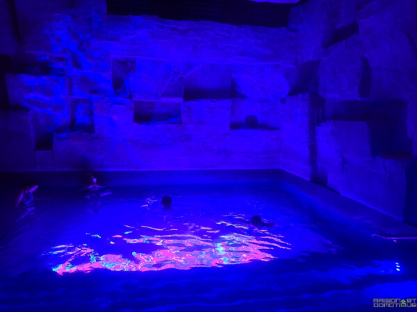 On a testé Aquascope, l’odyssée aquatique au Futuroscope : une ...